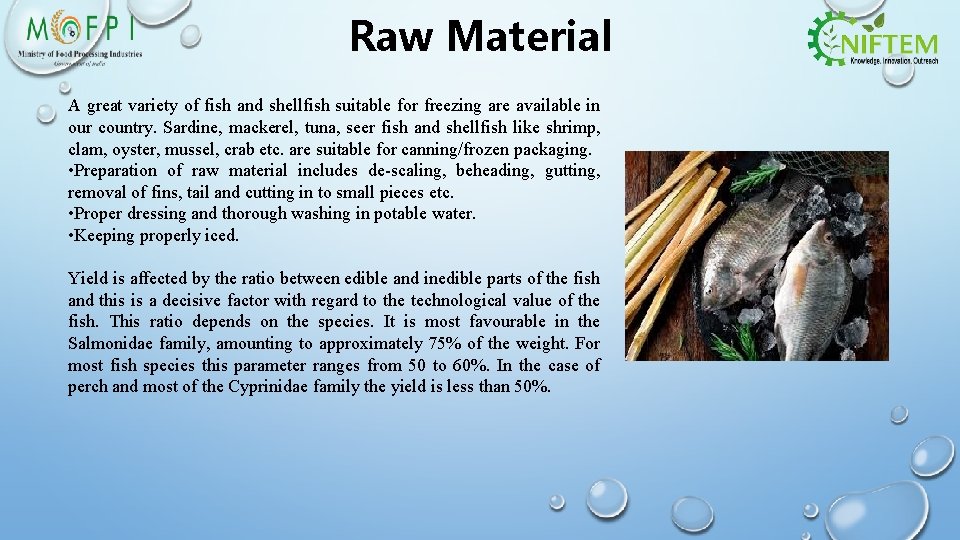 FROZEN FISH PROCESSING Introduction The word fish is