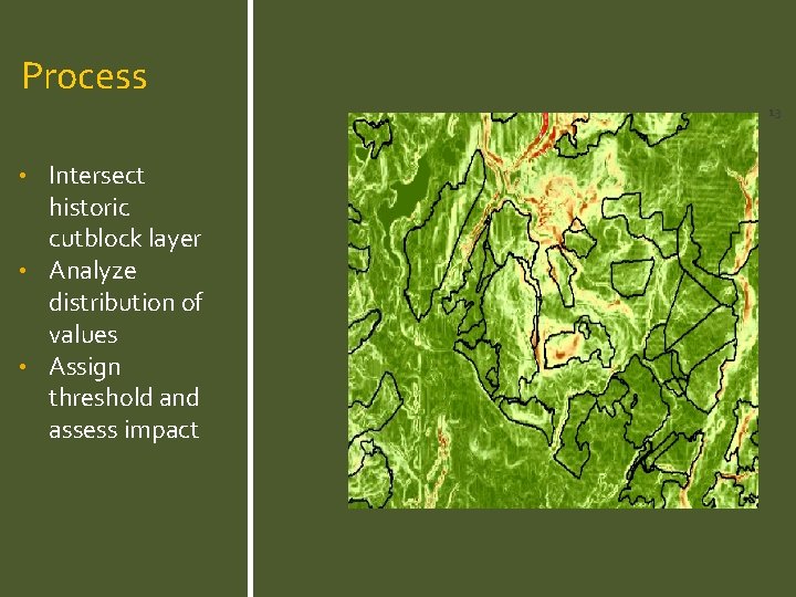 Prince George Timber Supply Area Timber Supply Review