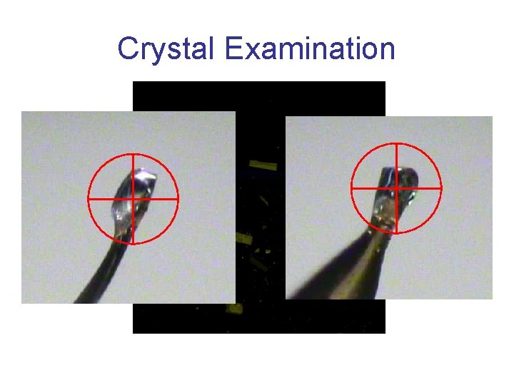 A The Solid State 1 Classification of Solid