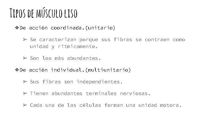 Estructura del Sistema Muscular Estefana Antelo Gonzlez Sara