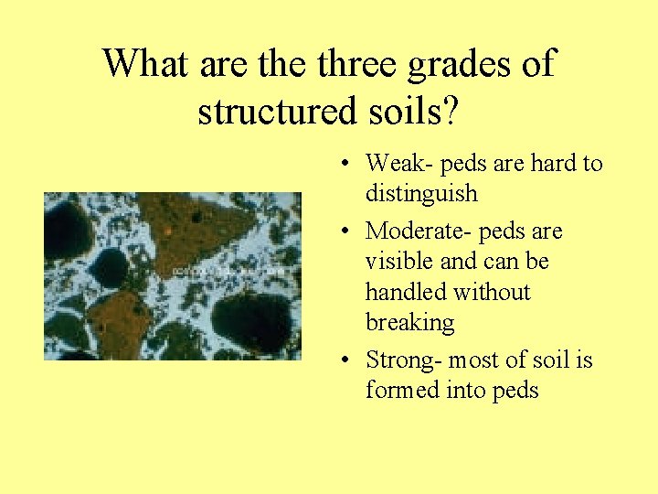 Soils and You Soil Review Taking Soil Samples