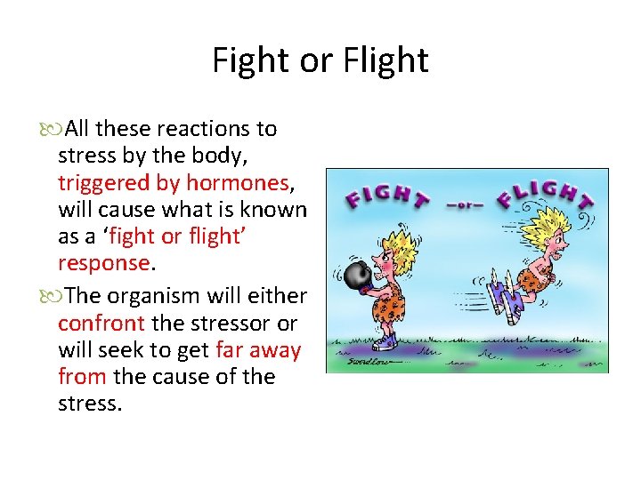 Hormonal Regulation of Stress Response and Blood Glucose
