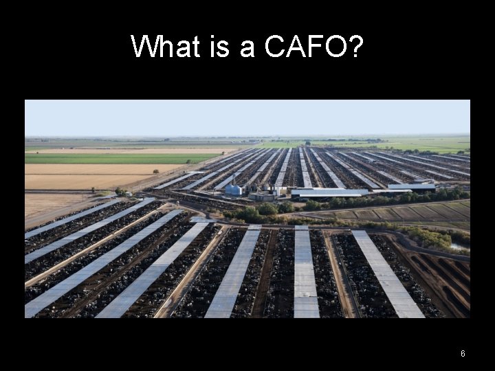 How CAFOs Are Destroying Vulnerable North Carolina Communities