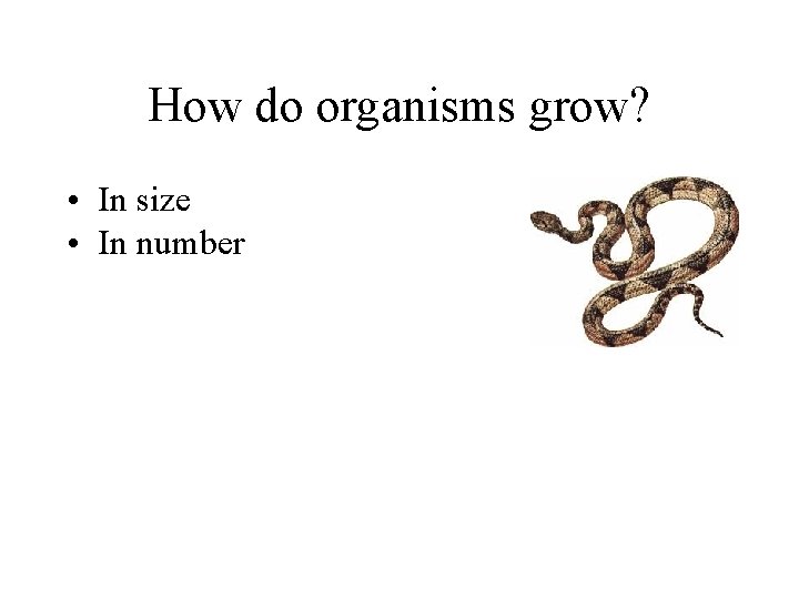 Chapter 3 5 Cell Division Bell Ringer A