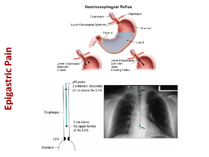 Kingdom of Bahrain Arabian Gulf University College of