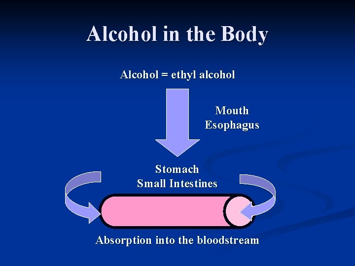 An Invitation to Health Chapter 11 Alcohol Use