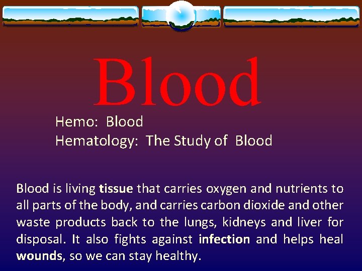 Path of Blood Flow Quiz Blame Jade and