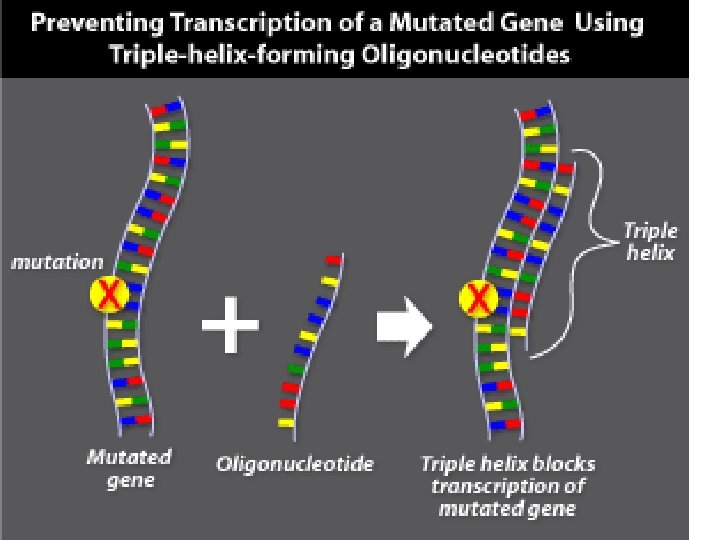 Gene Therapy Dr Hanan Hussien Shehata Gene Therapy