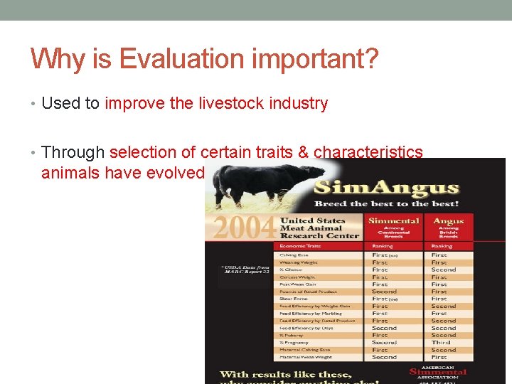 ANIMAL EVALUATION Mr Bailey AgriScience Bell Ringer 1954