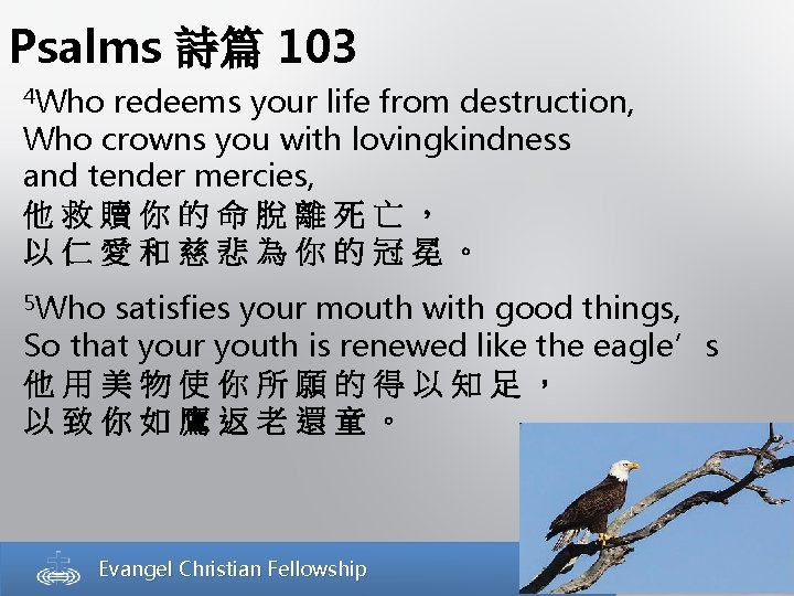 Evangel Christian Fellowship Forget not the Fathers benefitsblessings