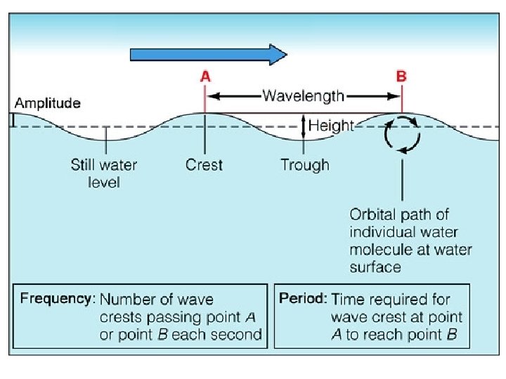 Waves and Beaches Movement of air disturbing force