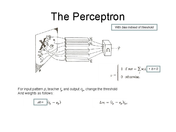 Back Propagation Psychology 209 Jan 14 16 2020