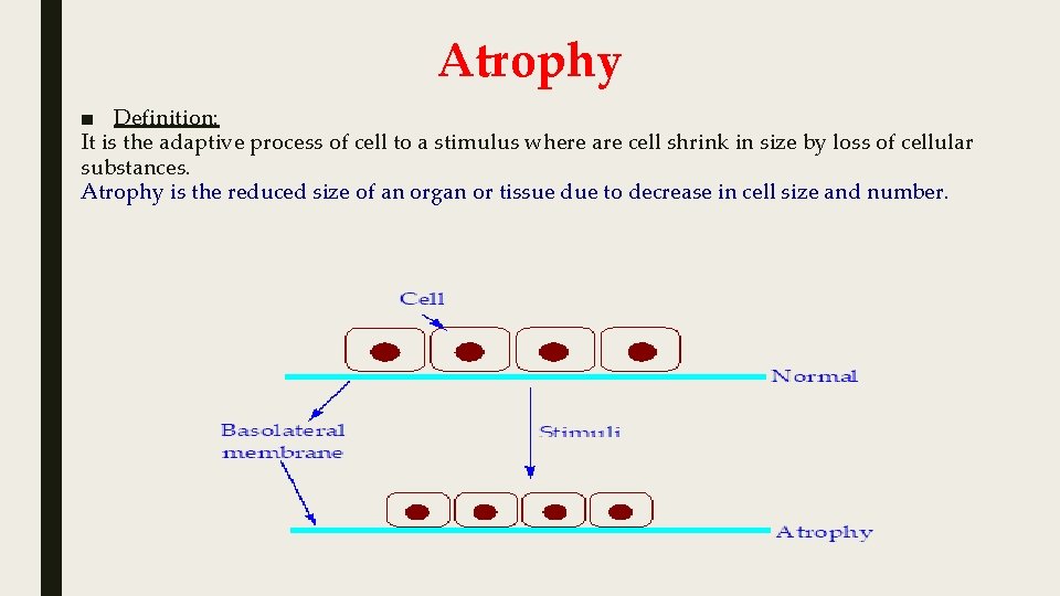 GENERAL ADAPTATION CELL INJURY CELL DEATH Mashiur Rahman