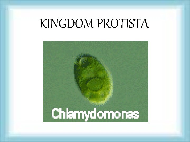 KINGDOM PROTISTA Kingdoms of the Living World 1