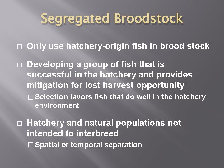 BROODSTOCK AND WEIR MANAGEMENT FOR CHINOOK SALMON HATCHERY