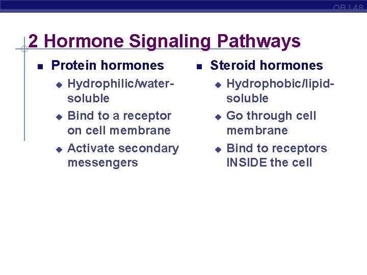 Endocrine System Hormones Homeostasis Regulation How we maintain