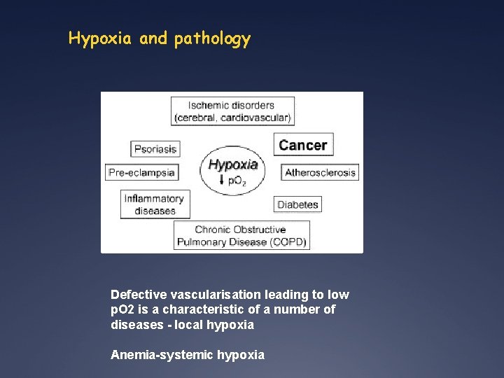 Reactive oxygen species and the Hypoxiainducible Factor signaling