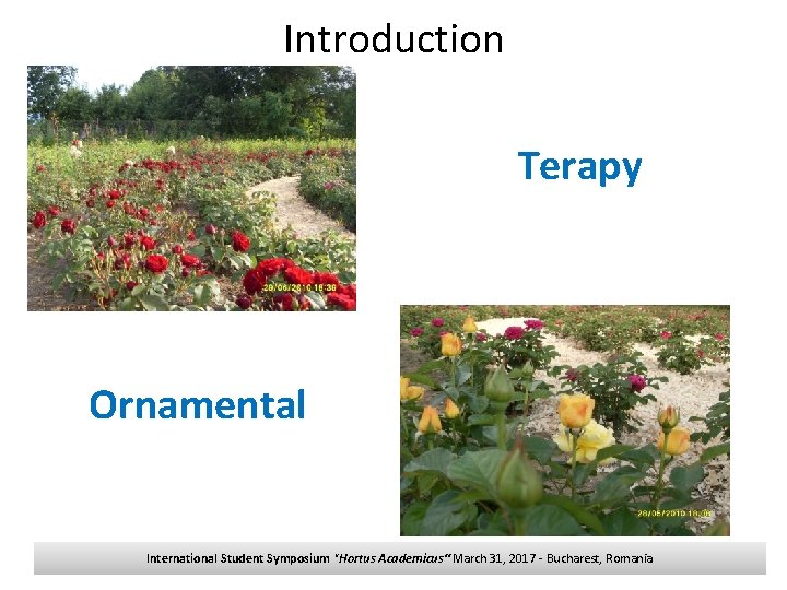 Propagation by cuttings of some edible roses genotypes