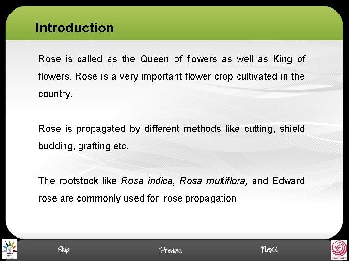 Introduction Rose is called as the Queen of