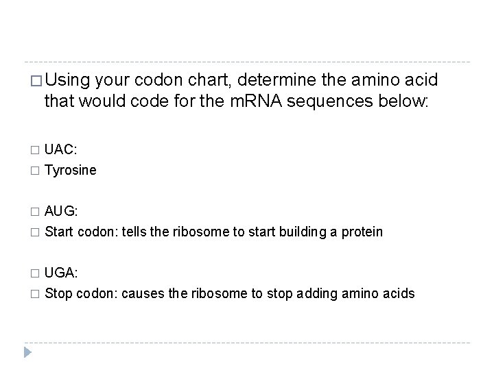 Translation Decoding the message Protein Synthesis DNA and