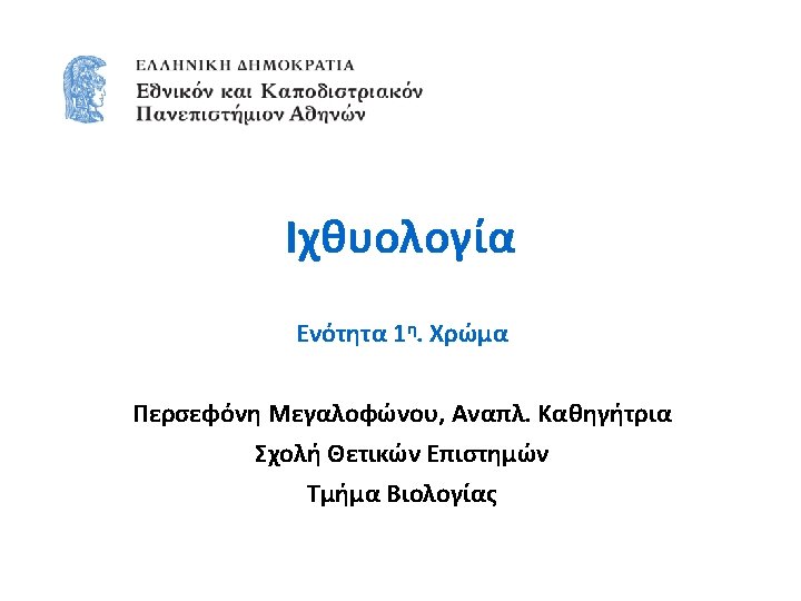 20 Gymnachirus melas 21 Synanceia verrycosa 23 22