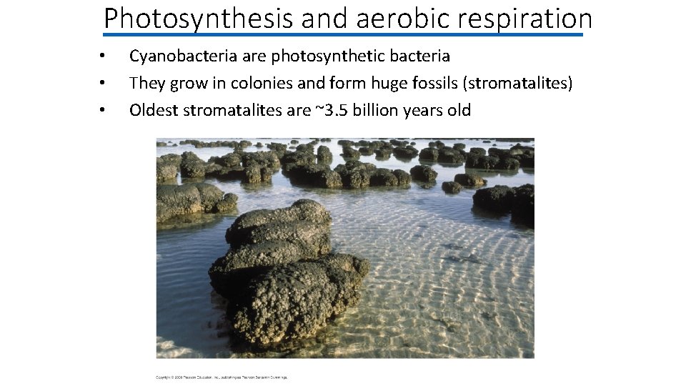 Welcome to Earth 4 billion years ago sterile