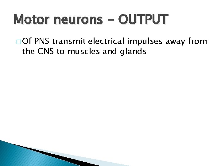 The Nervous System Objectives Identify the principle parts