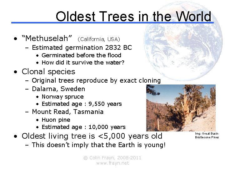 Science and Creationism 15 Botany Colin Frayn 2008