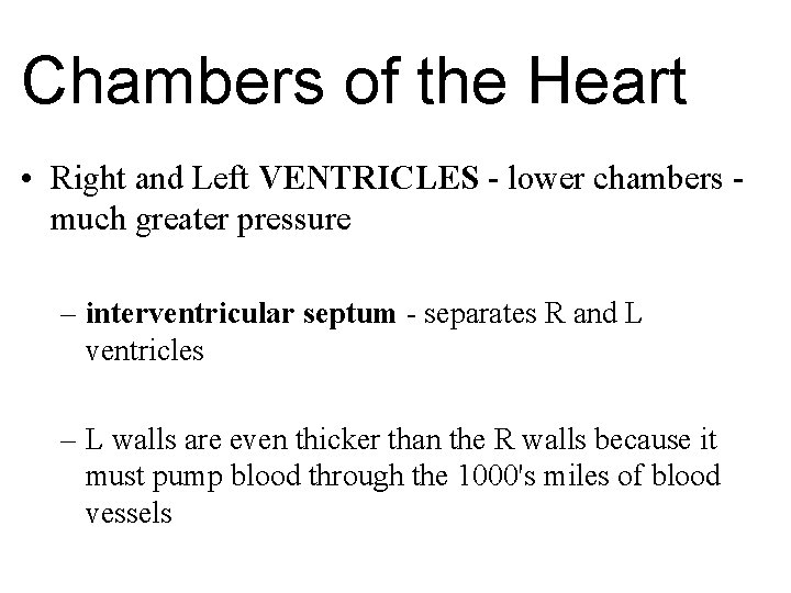 Histology Elongated branching cells containing 1 2 central