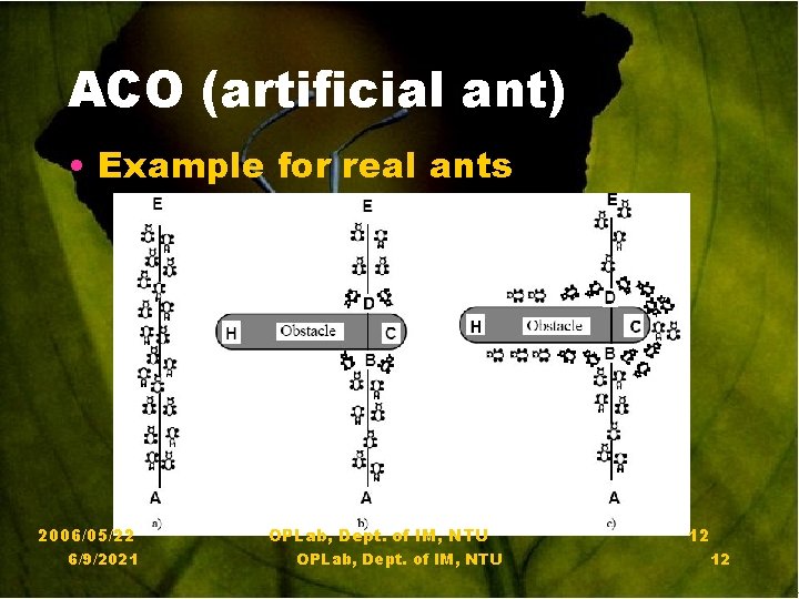 Ant colonies for traveling salesman problem Bio Systems