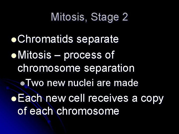 Chapter 4 Section 3 Mitosis The Cell Cycle