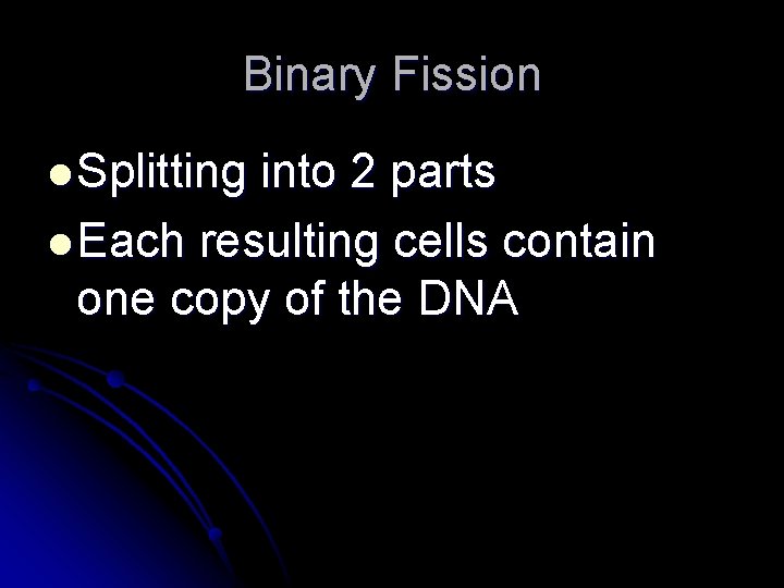 Chapter 4 Section 3 Mitosis The Cell Cycle