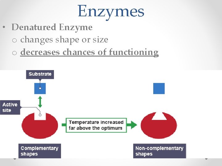 Chemistry of Life Nature of Matter Water Solutions