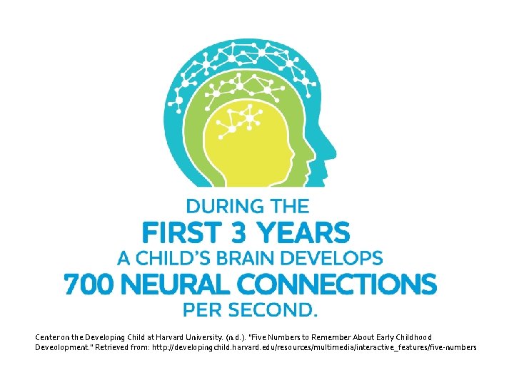 Your Babys Brain The Brain The most complex