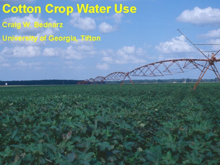 Cotton Crop Water Use Craig W Bednarz University