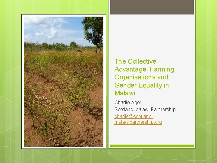 The Collective Advantage Farming Organisations and Gender Equality