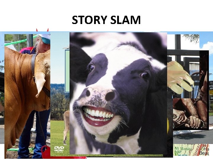 World Storytelling Day Story SLAM World Storytelling Day