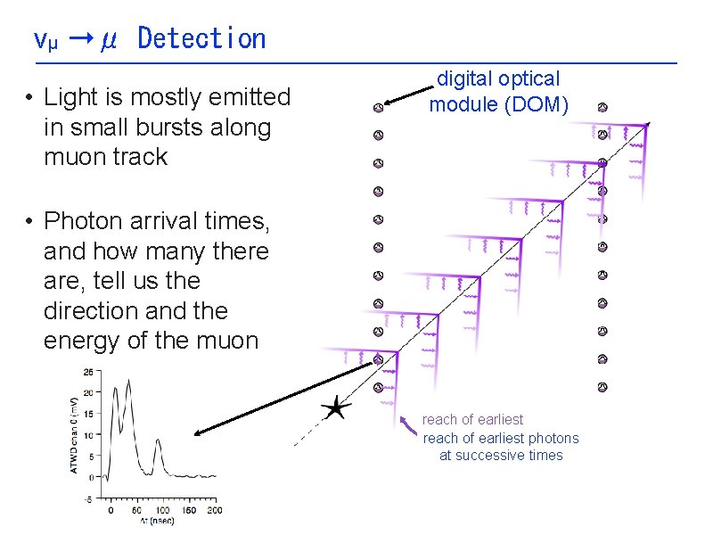 The Ice Cube Detector John Kelley UWMadison Winterover
