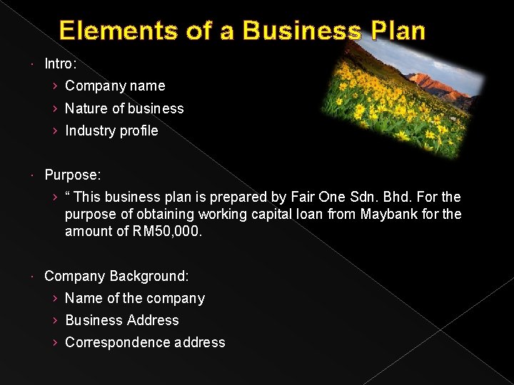 CHAPTER 5 BUSINESS PLAN AND SOURCES OF FINANCING