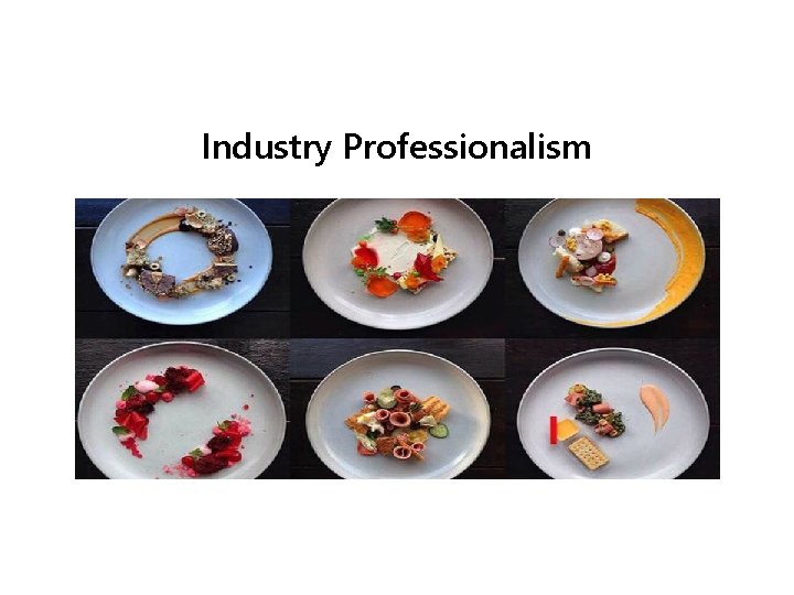 Industry Professionalism This lesson comes from a series