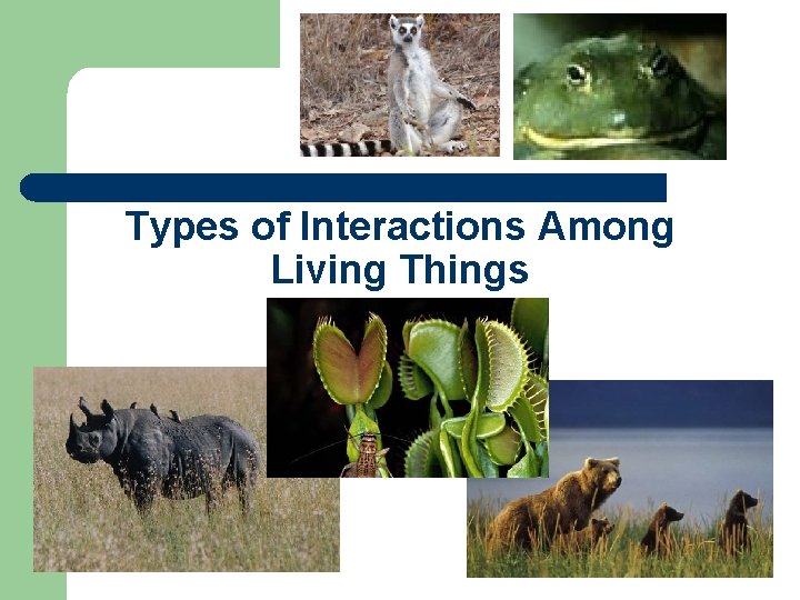 Types of Interactions Among Living Things Ecological Organization