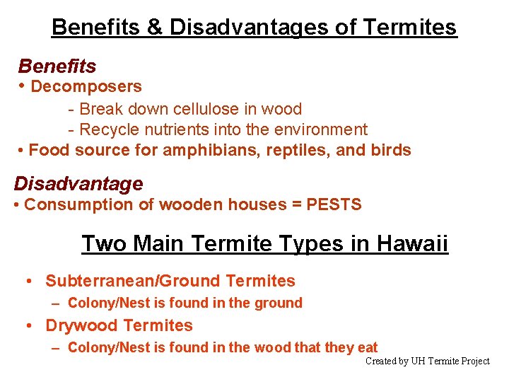 Benefits Disadvantages of Termites Benefits Decomposers Break down