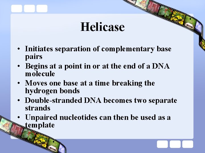 DNA REPLICATION TOPIC 3 4 7 2 Assessment