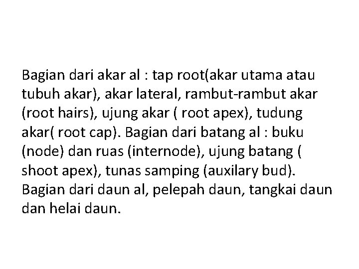 Struktur tumbuhan Bagian vegetatif tanaman terdiri dari akar