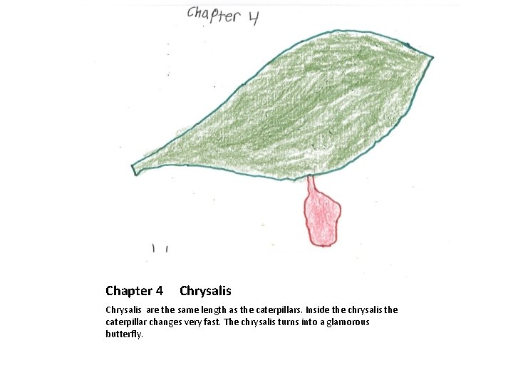 The Story of Butterflies By Emily Tyree Table