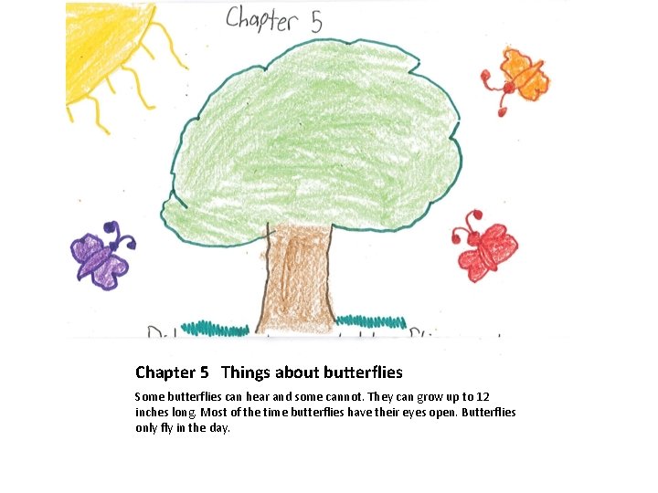 The Story of Butterflies By Emily Tyree Table