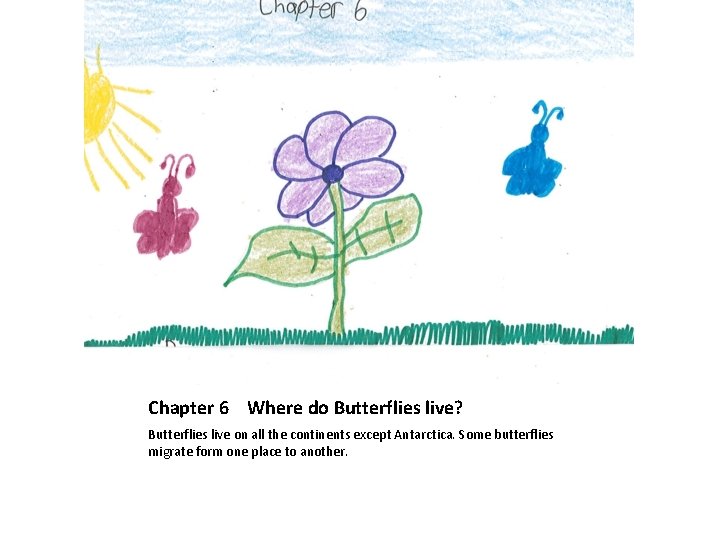 The Story of Butterflies By Emily Tyree Table
