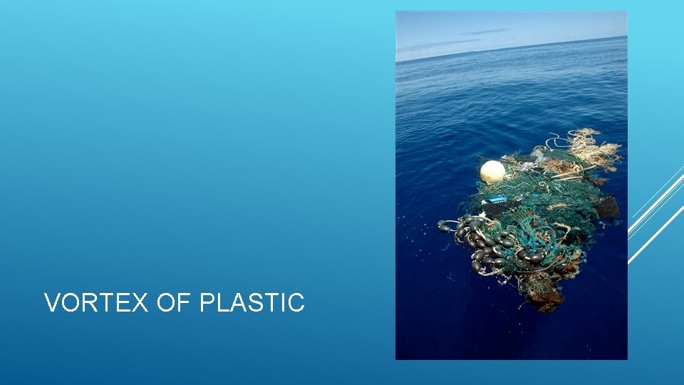 CHAPTER 4 Global Climates and Biomes Module 9