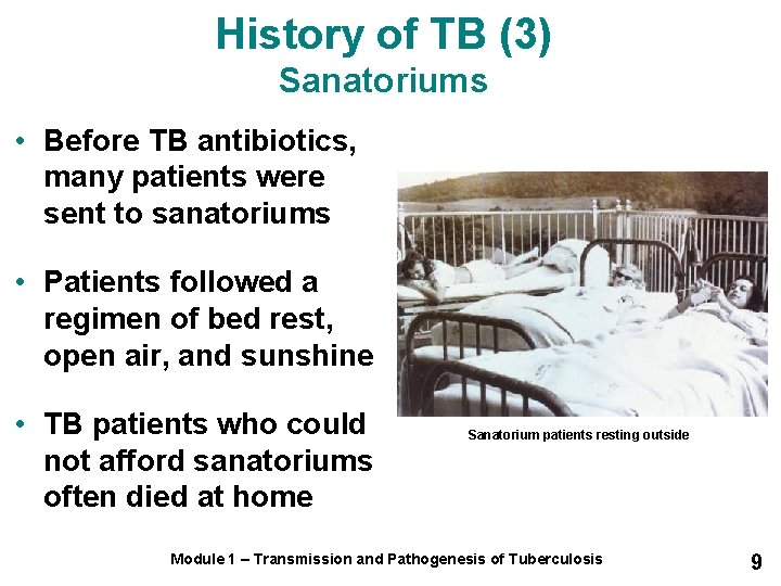 1 Transmission and Pathogenesis of Tuberculosis 1 Module