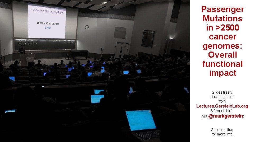 Mark Gerstein Yale Passenger Mutations in 2500 cancer